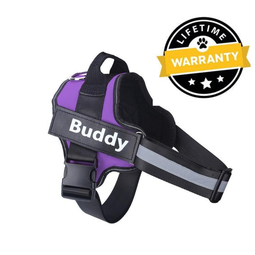 No Pull Dog Harness Australia – Dogs Harness Australia